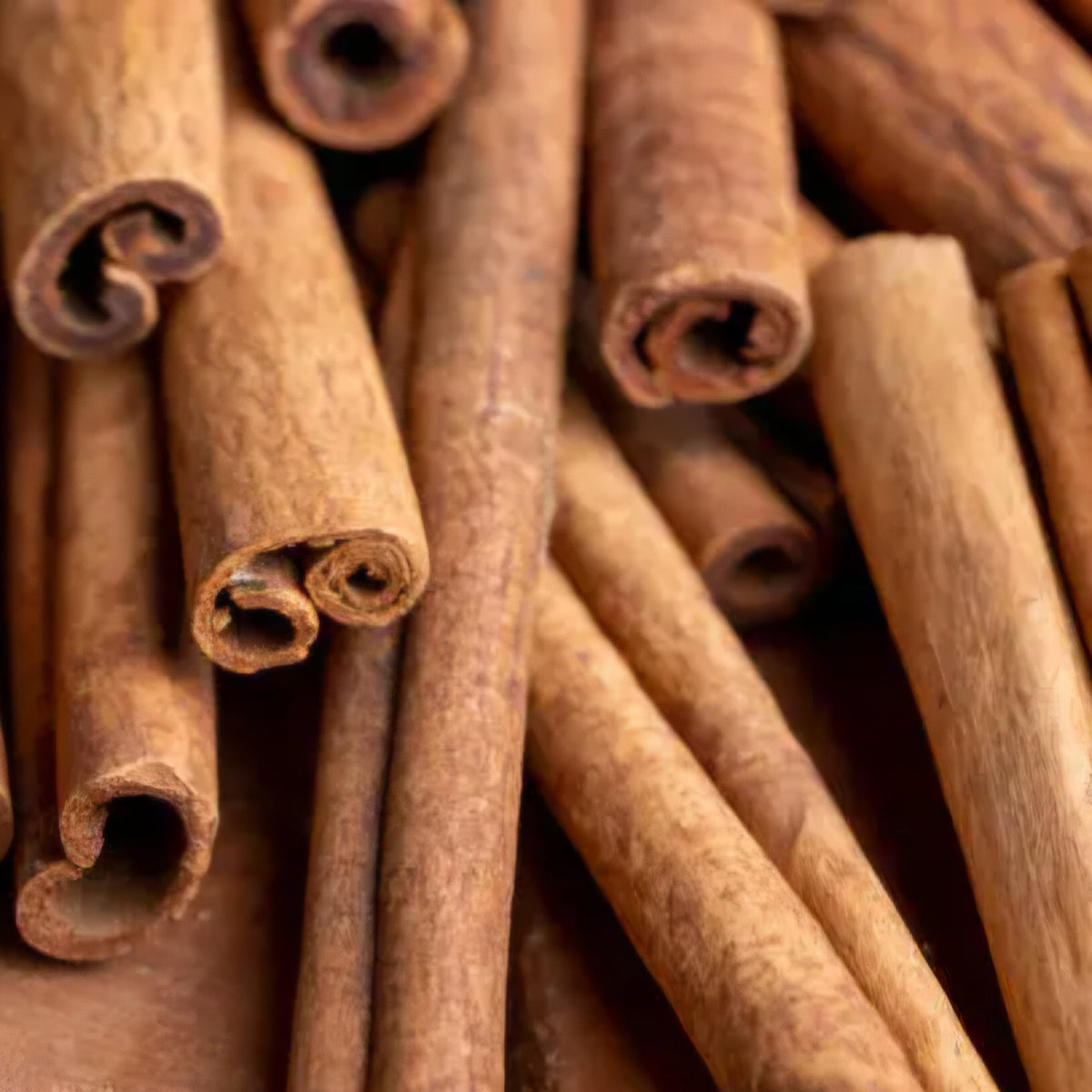 The Spice Route - Cinnamon Essential Oil – DuxmoreBotanics