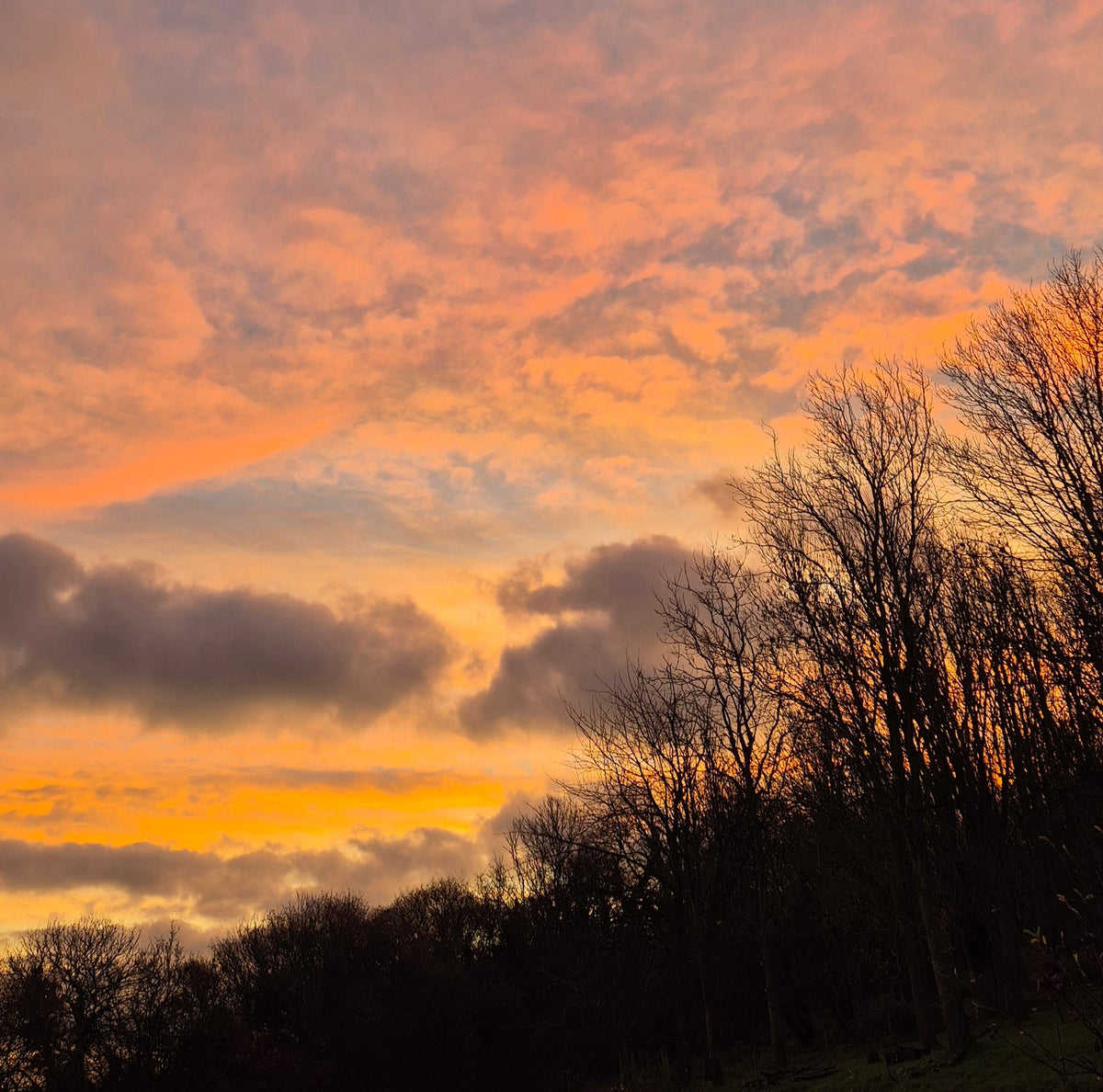 Why January Is the Perfect Month to Slow Down – DuxmoreBotanics
